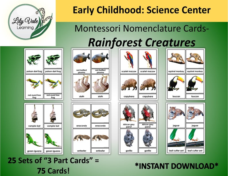 Printable Flashcards, JUNGLE Animal Cards, Montessori Flashcards ...