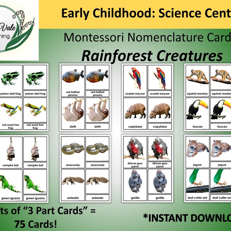 LilyValeLearning - Etsy