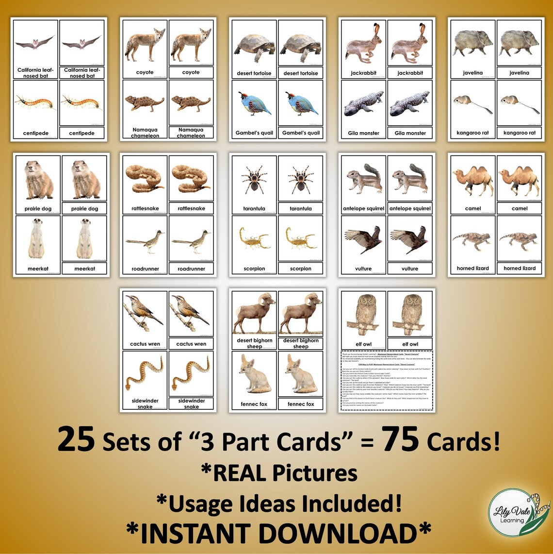 Printable Flashcards, Montessori Flashcard, Nomenclature Cards ...