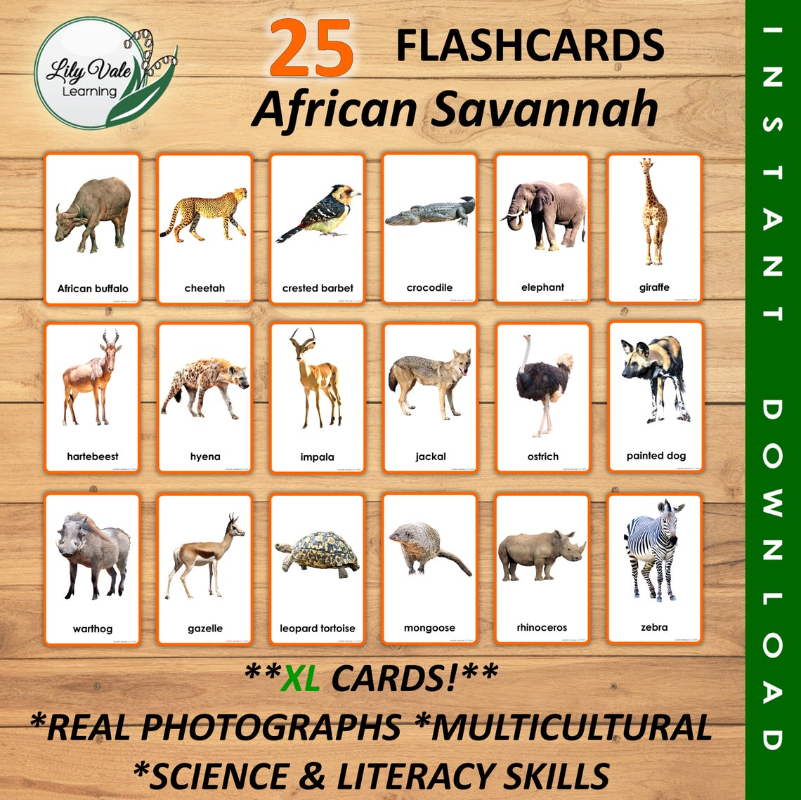 Flashcards, Printable Flashcards, African Animal Printable, Animal ...