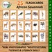 Flashcards, Printable Flashcards, African Animal Printable, Animal ...