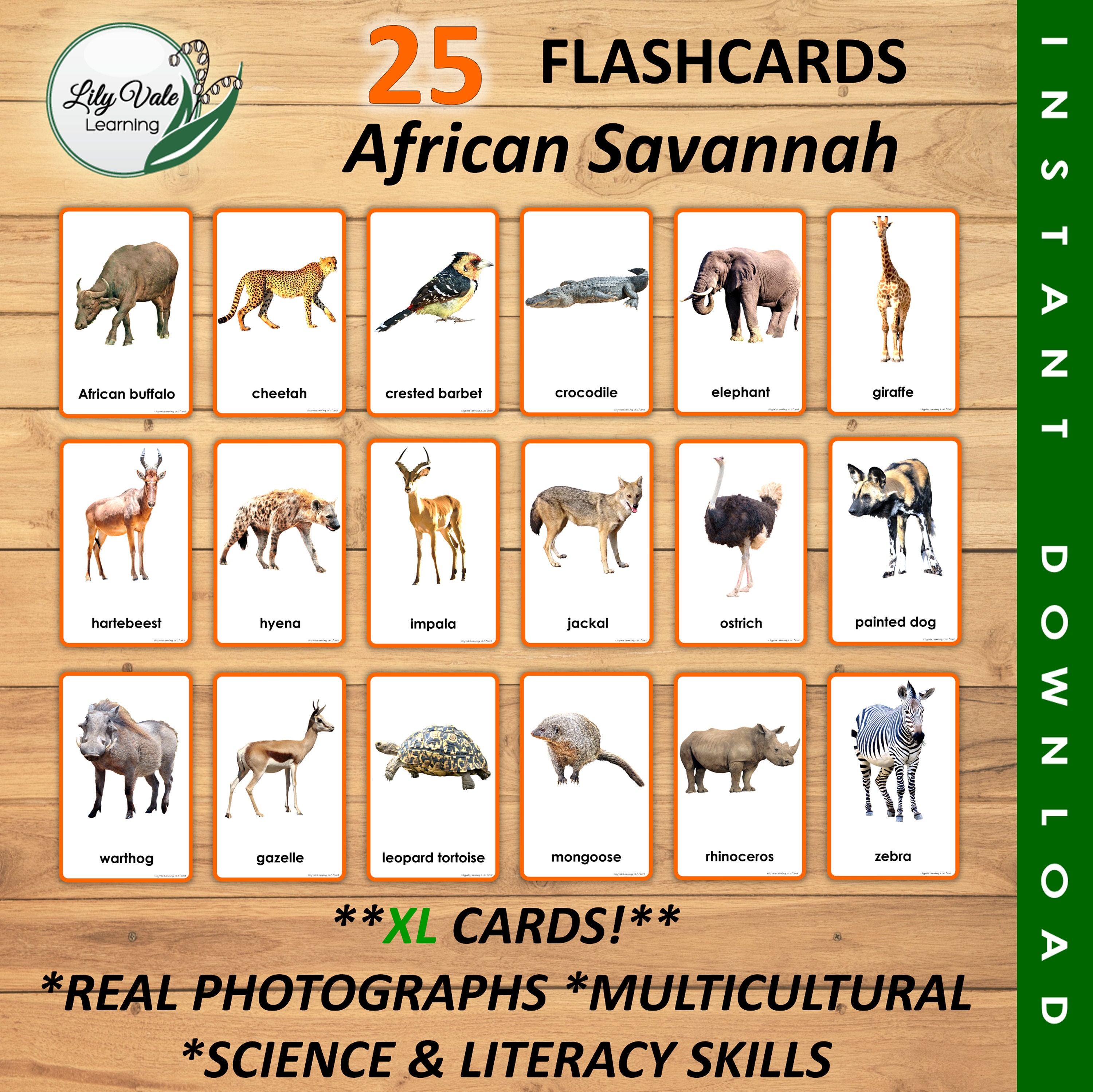 Flashcards, Printable Flashcards, African Animal Printable, Animal ...
