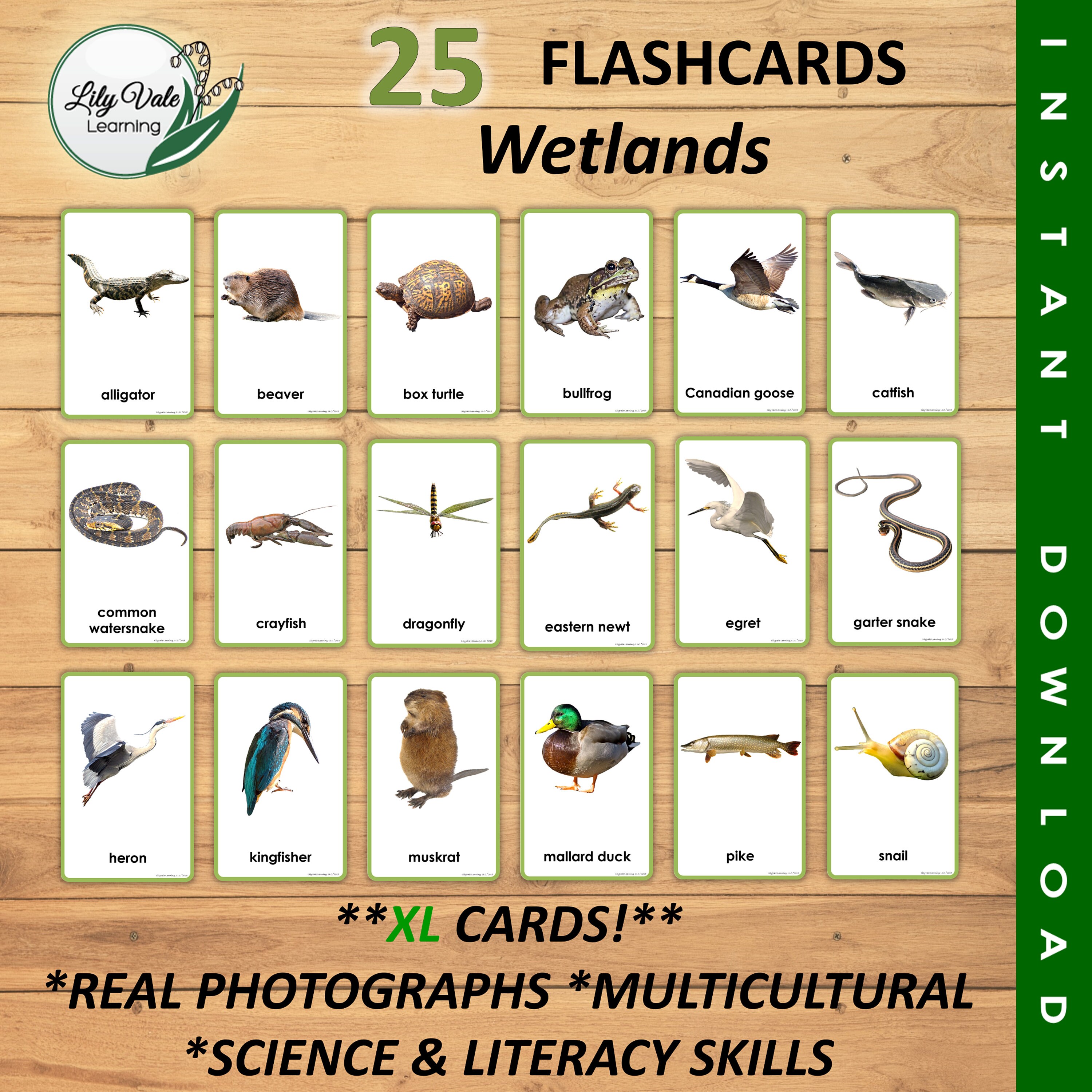 Printable Flashcards, Montessori Flashcards, Pond Animals, Animal ...