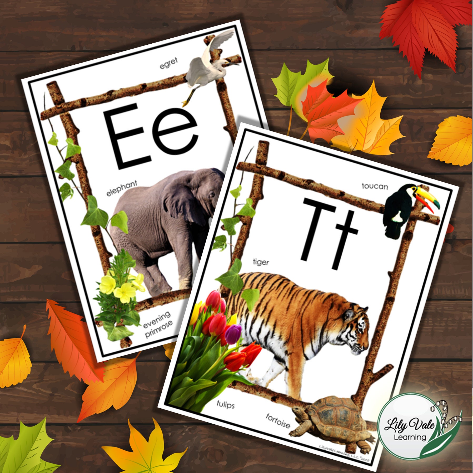 Alphabet Poster, Animal Alphabet, Montessori Classroom, Alphabet Chart ...