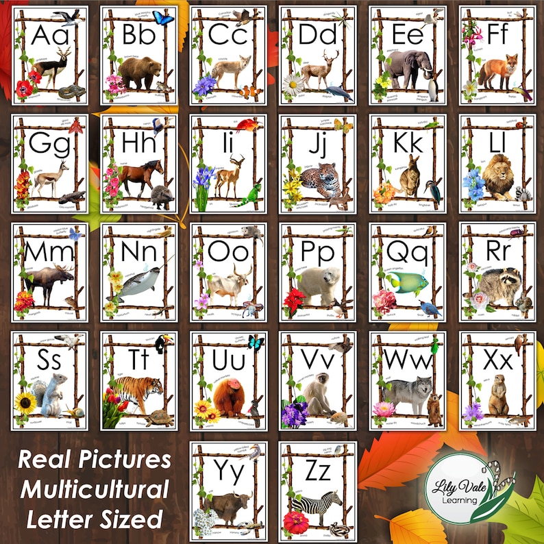 Alphabet Poster Animal Alphabet Montessori Classroom - Etsy