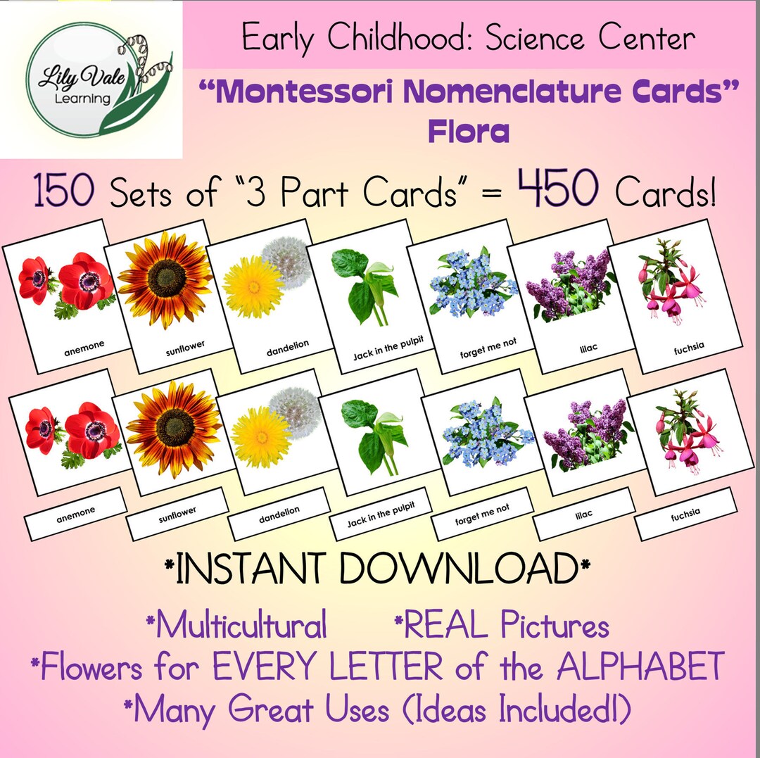 Montessori Card Montessori Material Printable Flashcard - Etsy