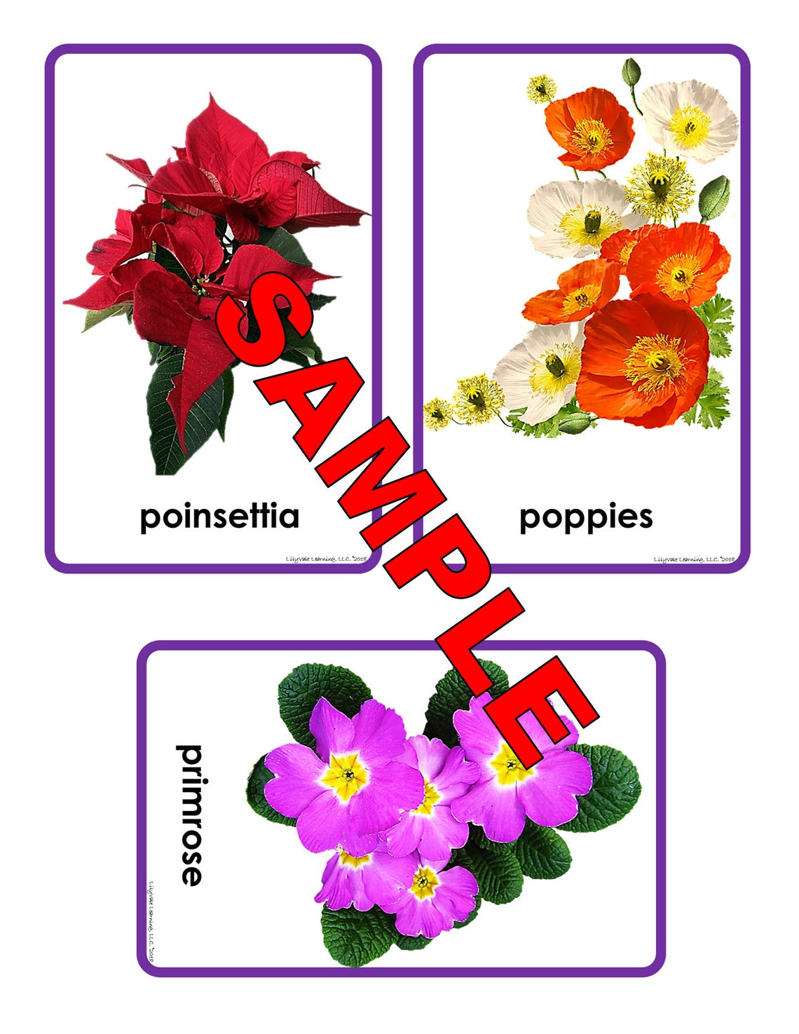 Printable Flashcard, Montessori Material, Montessori Printable Card ...