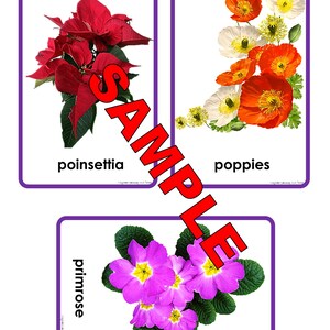 Printable Flashcard, Montessori Material, Montessori Printable Card ...