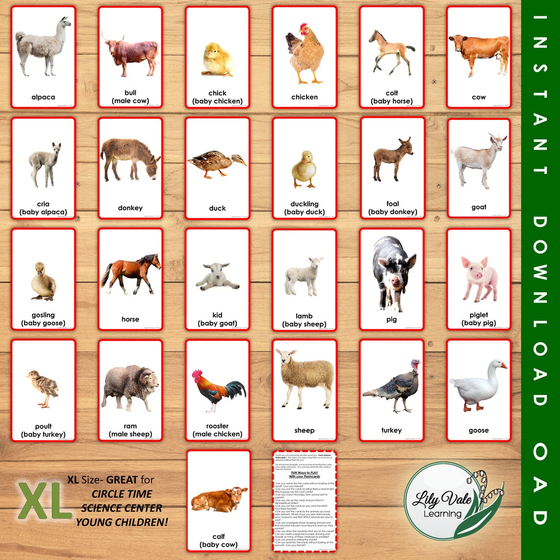 Farm Theme Printable, Farm Theme Cards, Animal Flashcards, Farm ...
