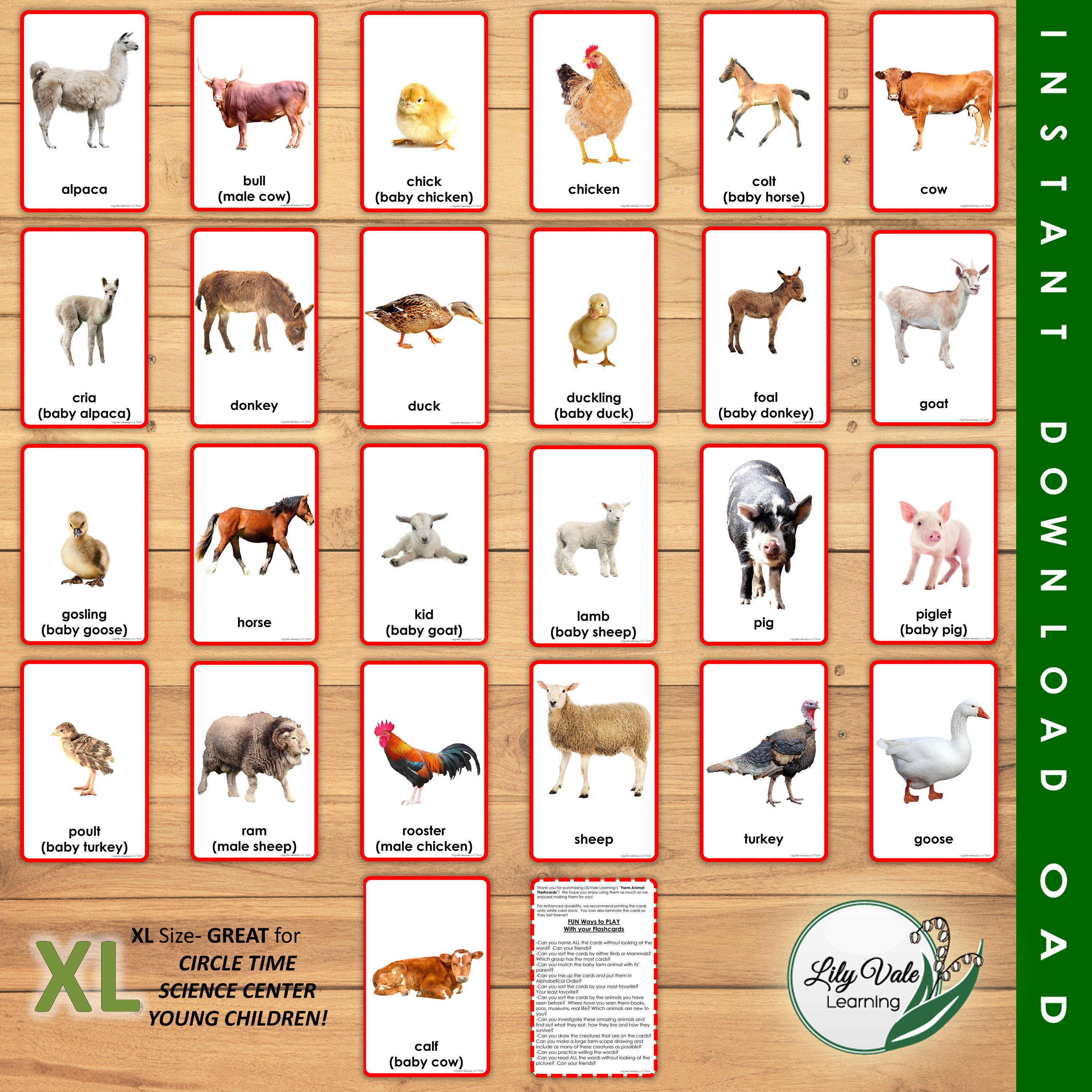 Farm Theme Printable, Farm Theme Cards, Animal Flashcards, Farm ...