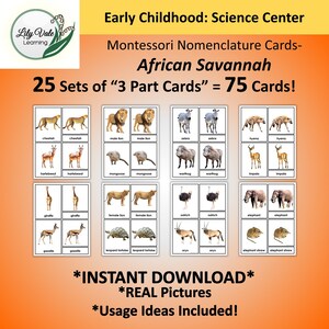 Printable Flashcards, Montessori Flashcards, AFRICAN ANIMALS PRINTABLE ...