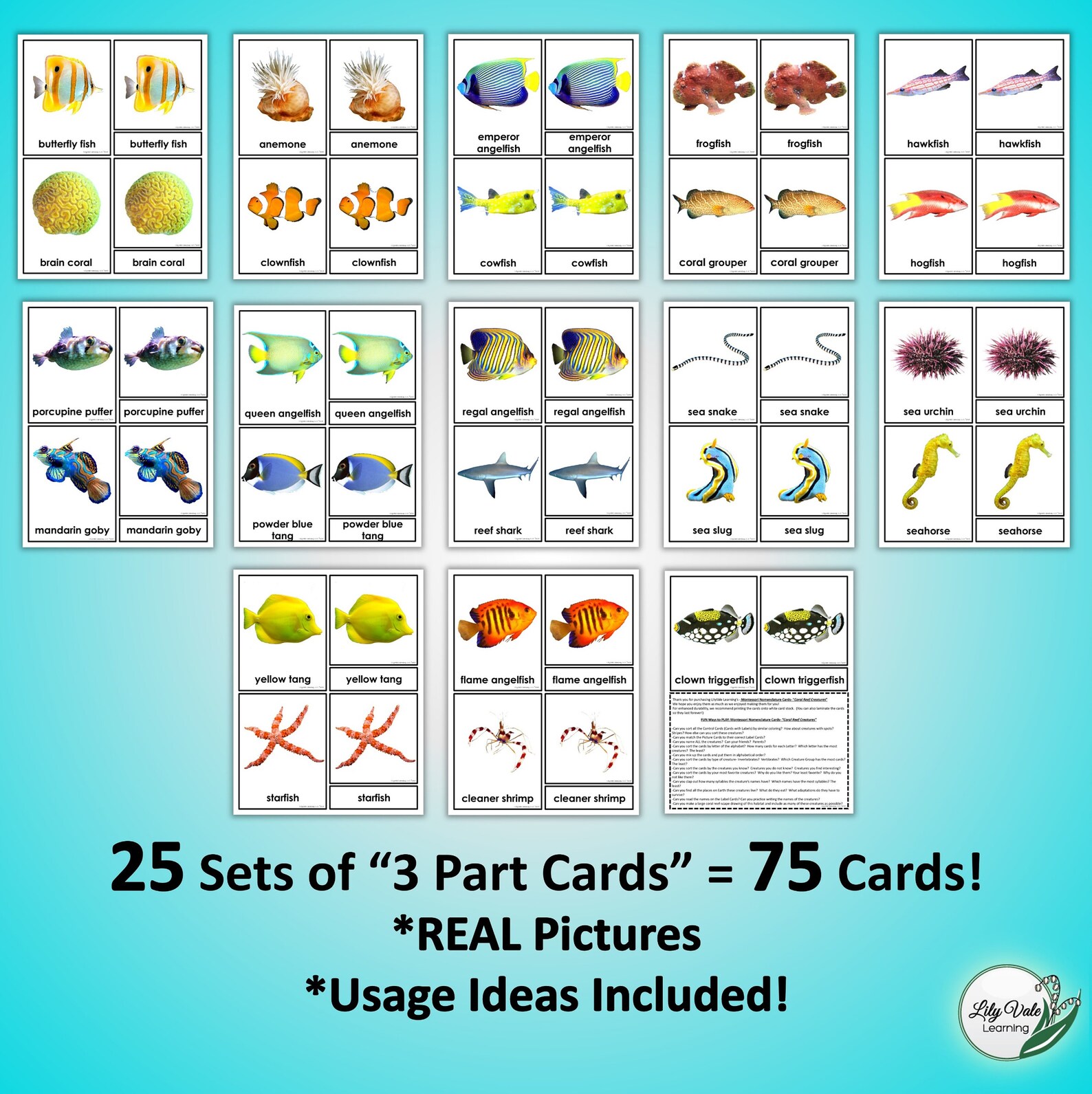 Printable Flashcards, Montessori Flashcards, Nomenclature Cards ...