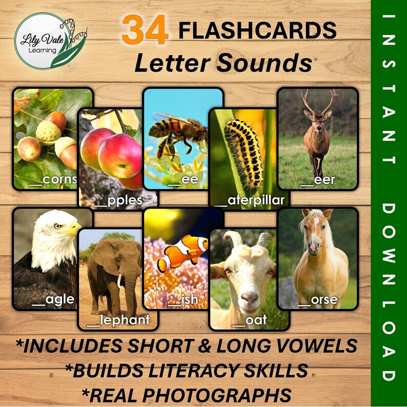 Flashcards, Printable Flashcards, Flashcards for Kids, Montessori ...