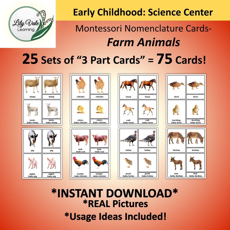 Printable Flashcards, Montessori Flashcards, Nomenclature Cards, Animal ...