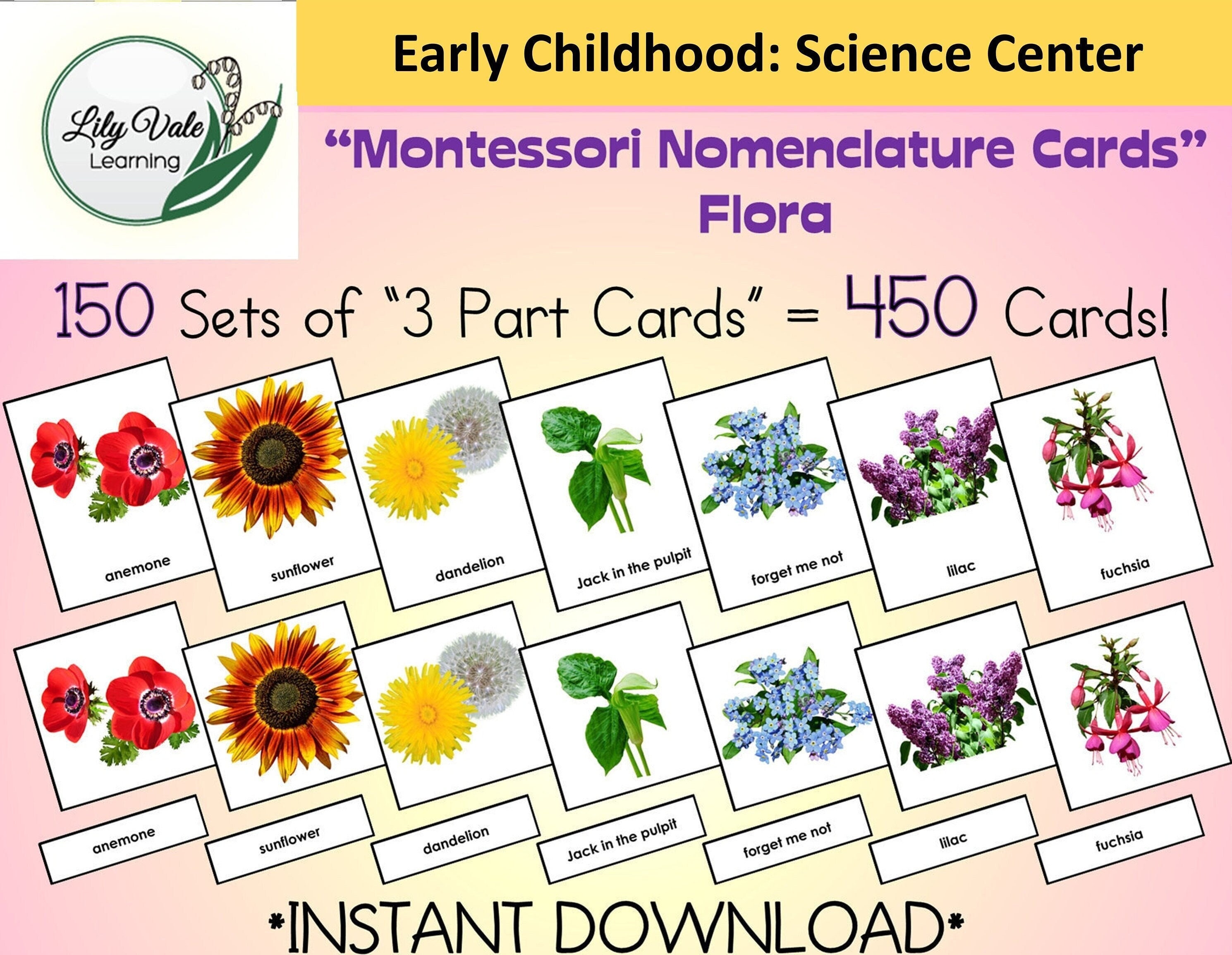 Montessori Card, Montessori Material, Printable Flashcard, Flora Cards ...