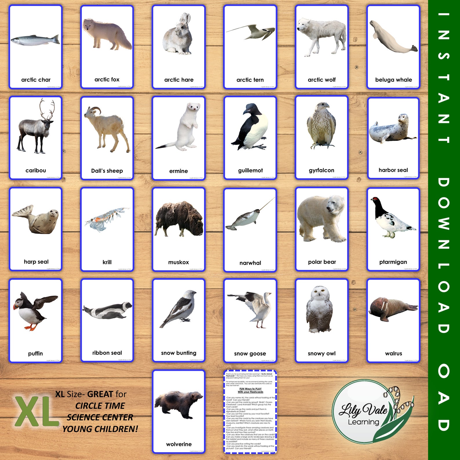 Polar Animals, Printable Flashcards, Arctic Animals, Montessori ...