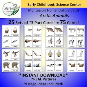 Printable Flashcards, Polar Animals, Montessori Flashcards, ARCTIC ...