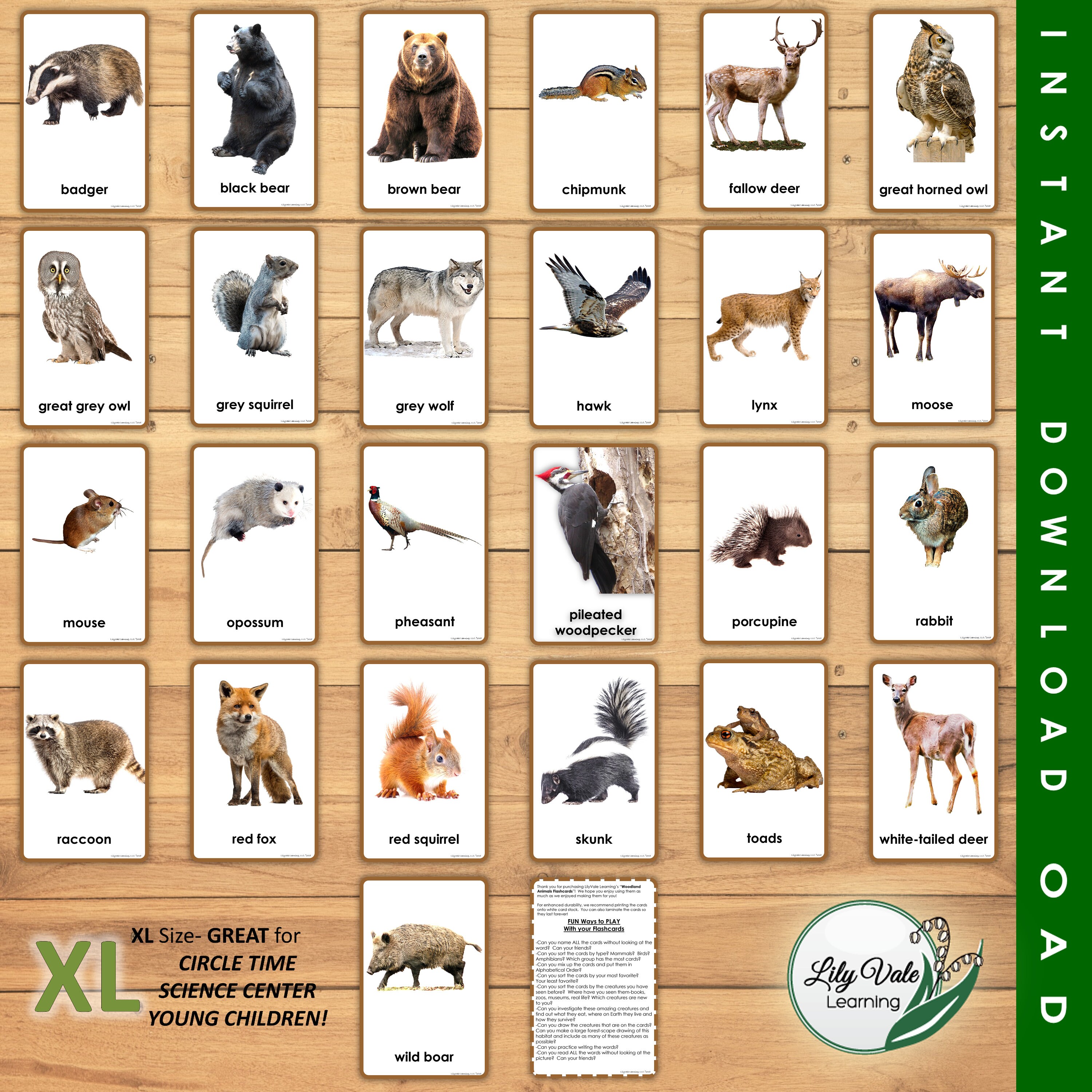 Woodland Animal Printable, Forest Animal Cards, Animal Learning Cards ...