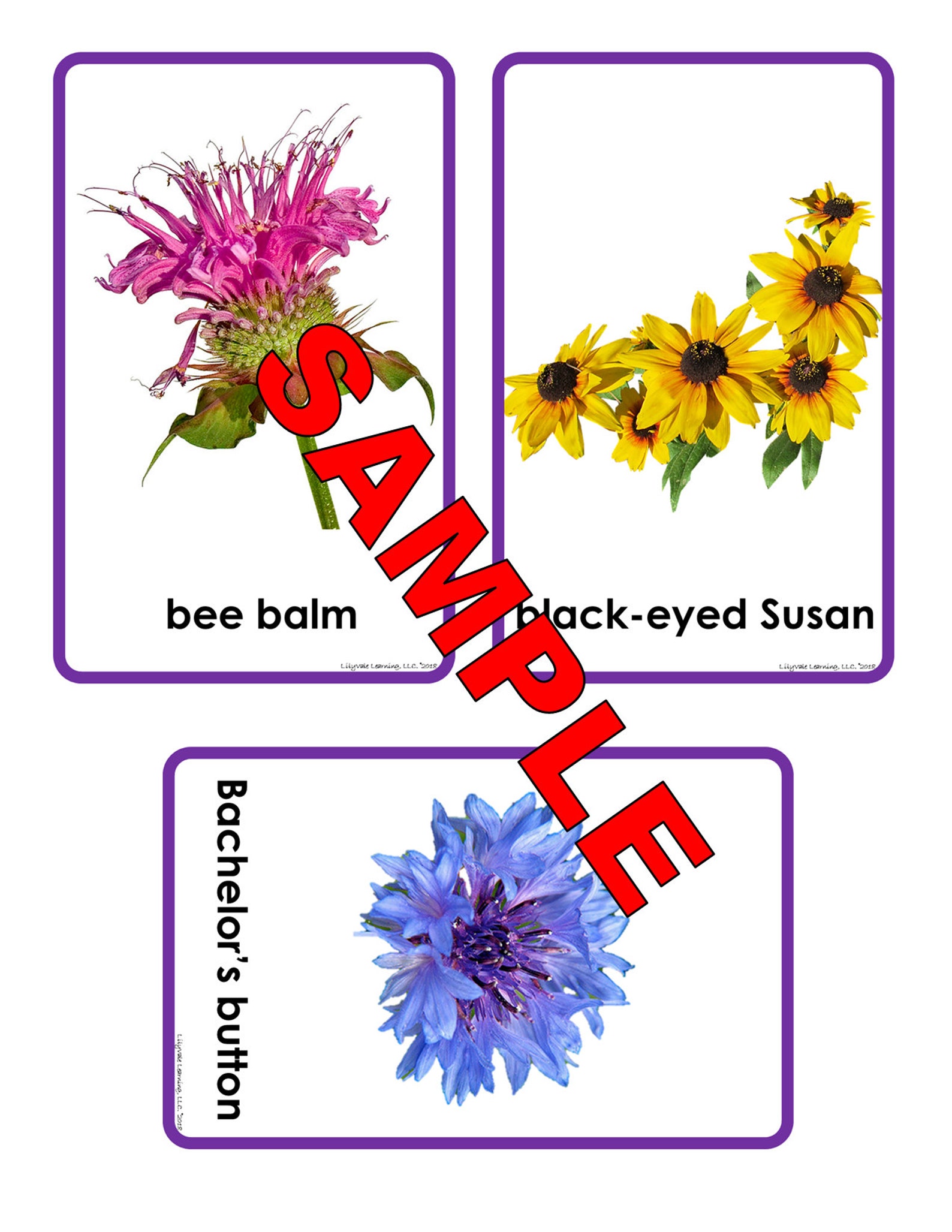 Printable Flashcard, Montessori Material, Montessori Printable Card ...