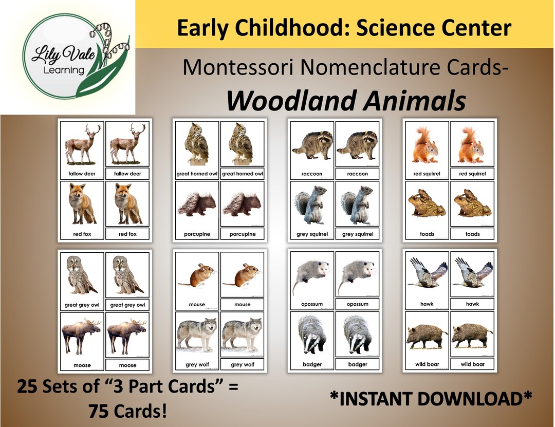 WOODLAND ANIMAL CARDS, Forest Animal Cards, Montessori Flashcards ...