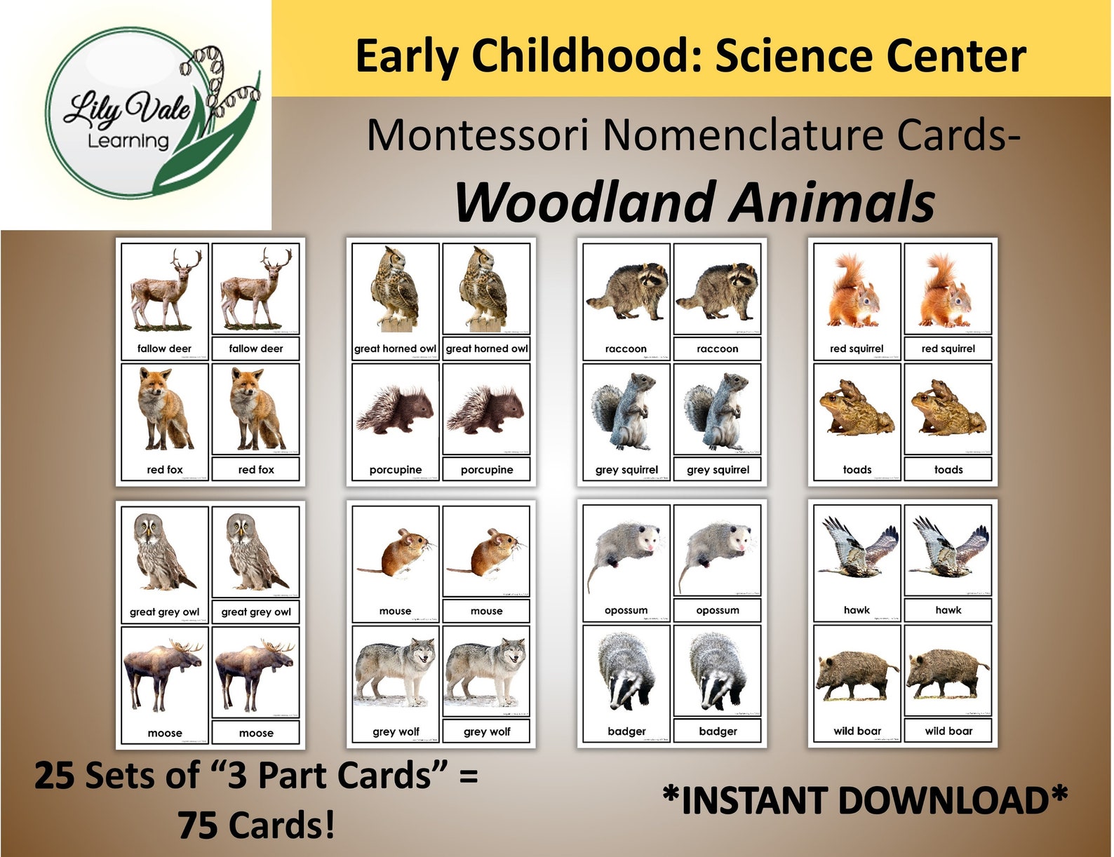 WOODLAND ANIMAL CARDS, Forest Animal Cards, Montessori Flashcards ...
