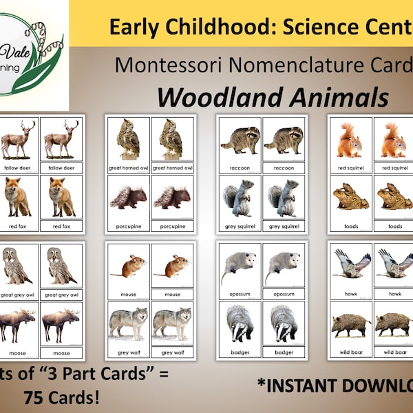 Animal Cards Forest - Etsy