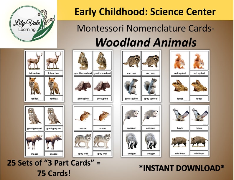 WOODLAND ANIMAL CARDS, Forest Animal Cards, Montessori Flashcards ...