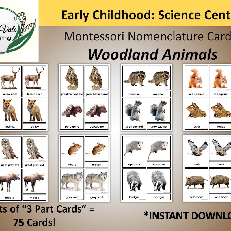 LilyValeLearning - Etsy