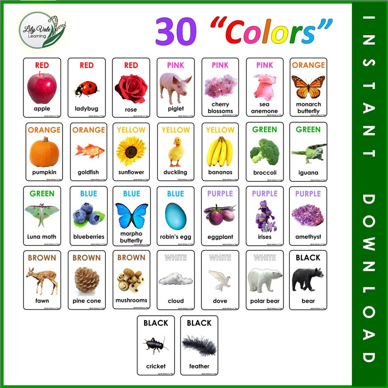 Flashcards, Printable Flashcards, Flashcards for Kids, Flashcards ...