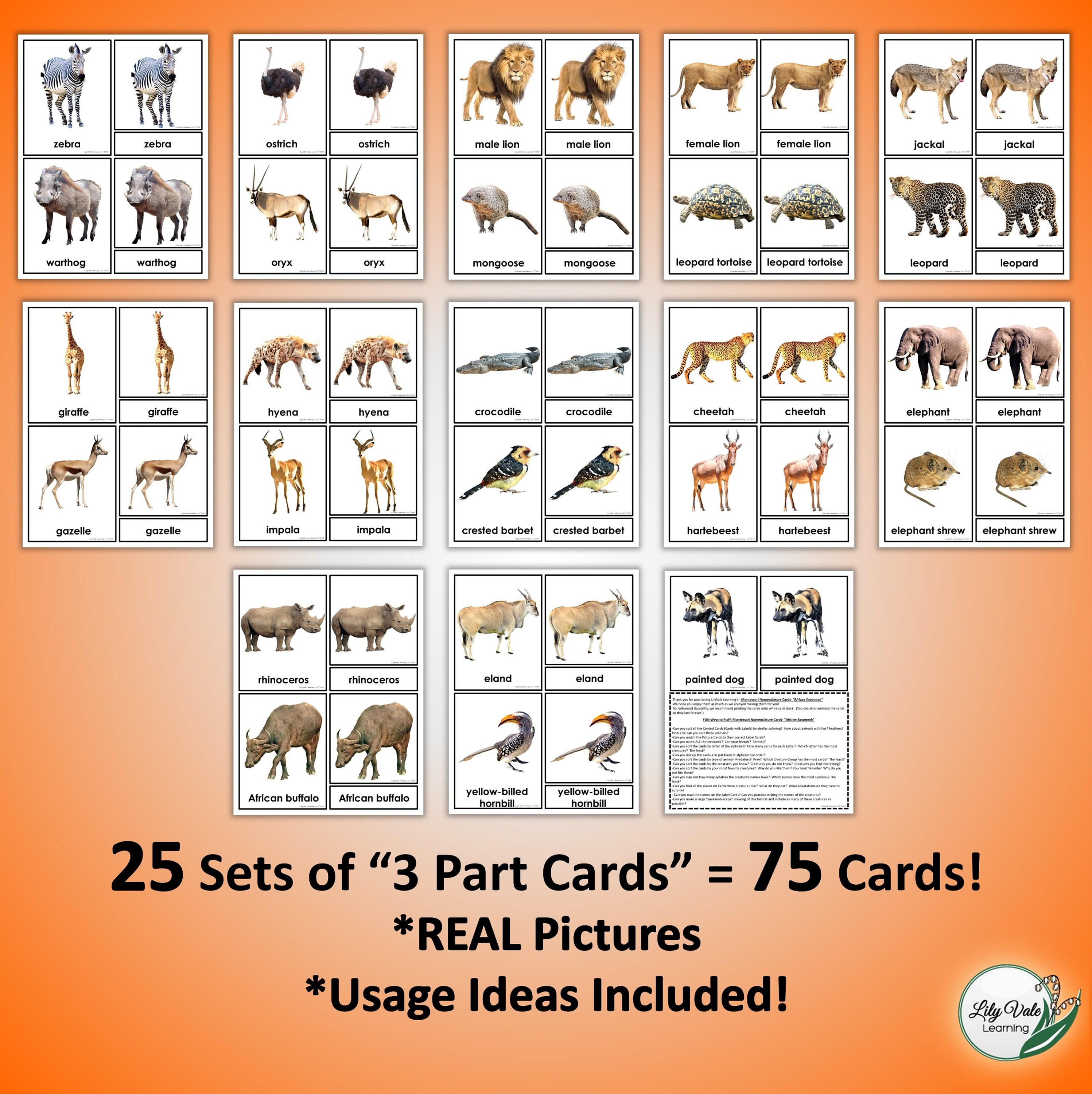 Printable Flashcards, Montessori Flashcards, AFRICAN ANIMALS PRINTABLE ...