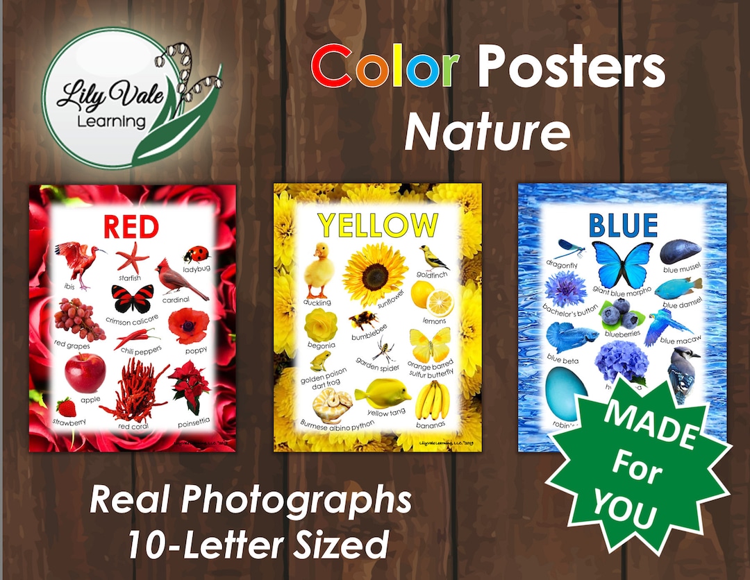 Color Learning, Montessori Classroom Decor, Preschool Classroom Poster ...