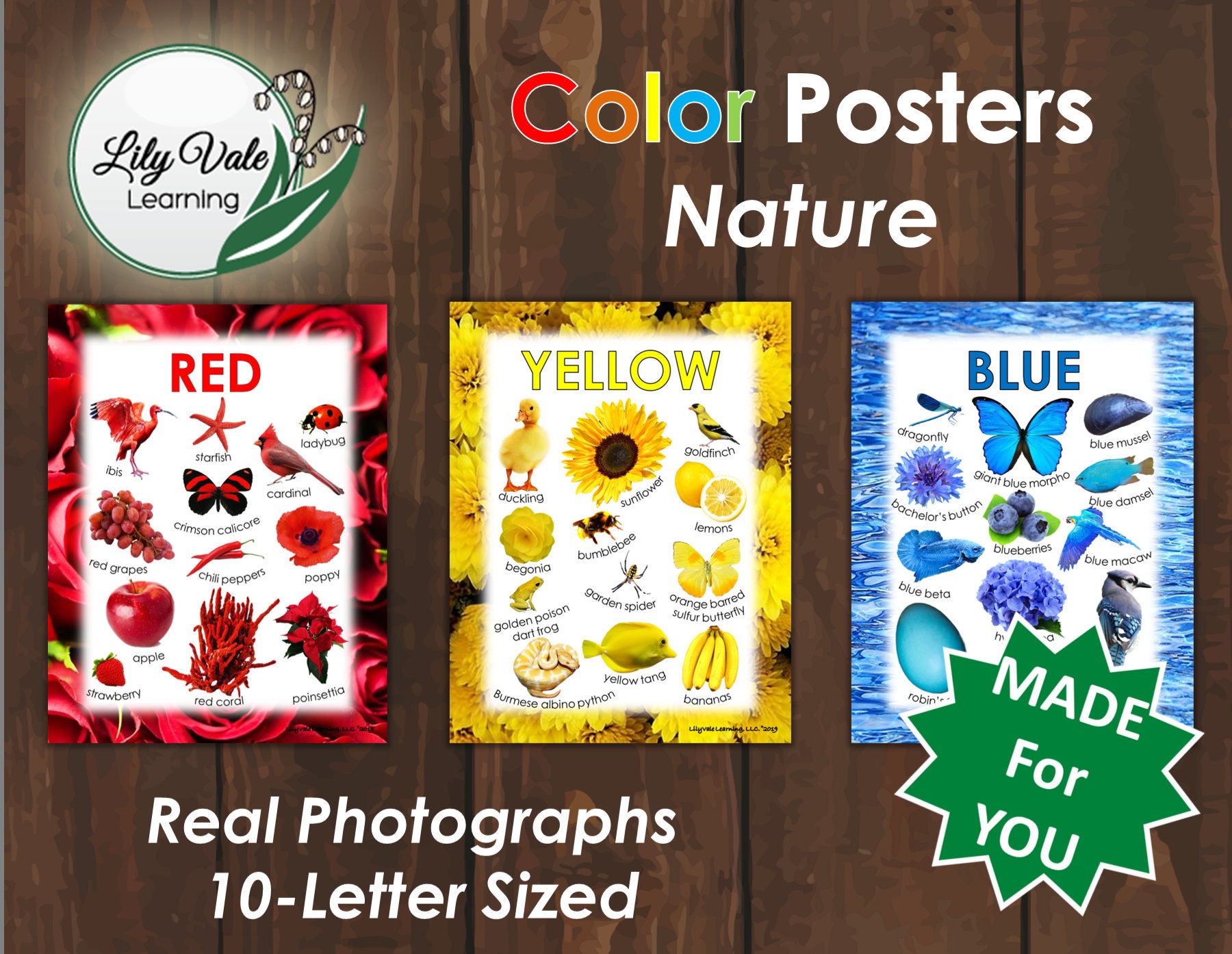 Color Learning, Montessori Classroom Decor, Preschool Classroom Poster ...