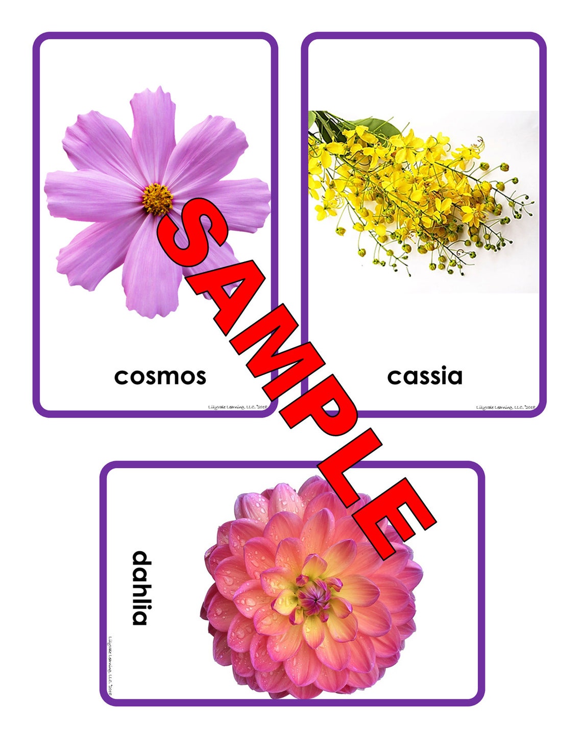 Printable Flashcard, Montessori Material, Montessori Printable Card ...