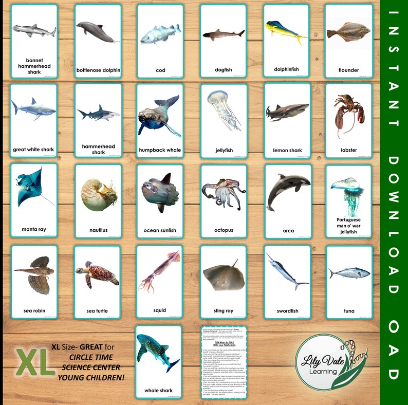 Printable Flashcards, Ocean Animal Printable, OCEAN ANIMAL FLASHCARDS ...