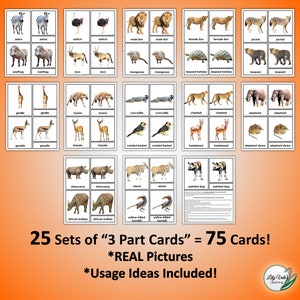 Printable Flashcards, Montessori Flashcards, AFRICAN ANIMALS PRINTABLE ...
