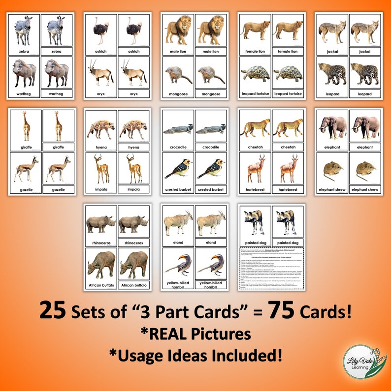 Printable Flashcards, Montessori Flashcards, AFRICAN ANIMALS PRINTABLE ...