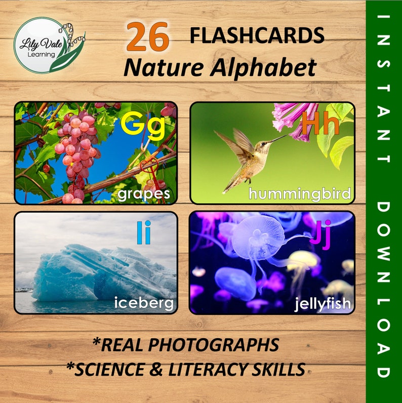 Printable Flashcards, Alphabet Flashcards, Nature Alphabet, ABC ...