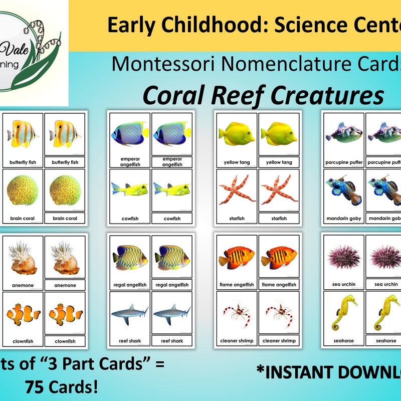 LilyValeLearning - Etsy