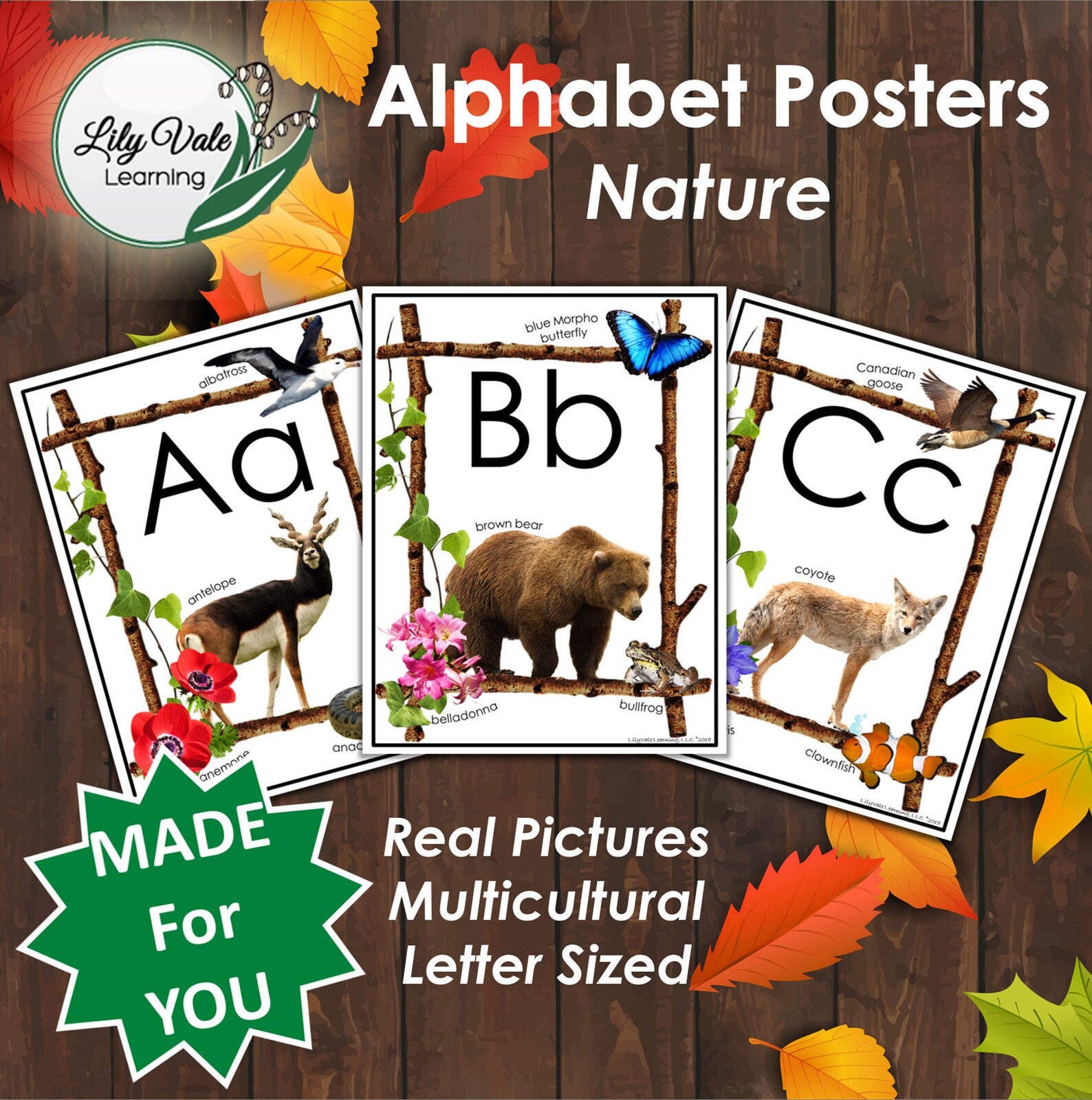Alphabet Poster, Animal Alphabet, Montessori Classroom, Alphabet Chart ...