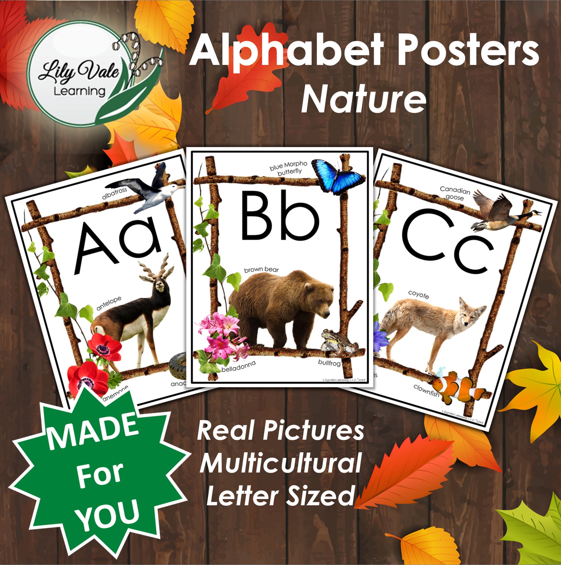 Alphabet Poster, Animal Alphabet, Montessori Classroom, Alphabet Chart ...