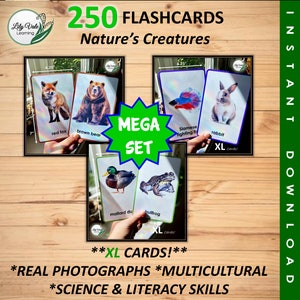 Printable Flashcards, Montessori Flashcards, Animal Flashcards ...