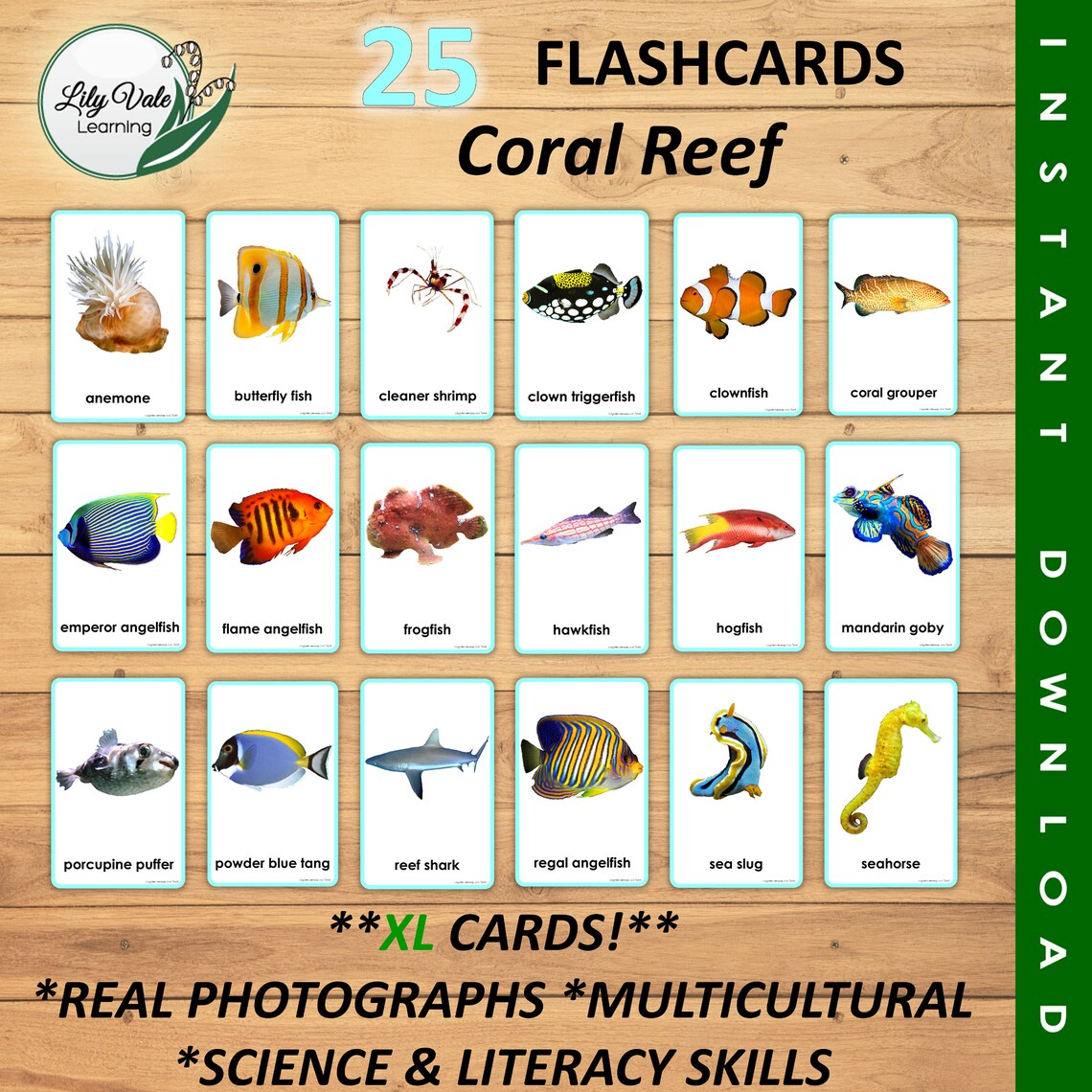 Flashcards, Printable Flashcards, Montessori Flashcard, Ocean Flashcard ...