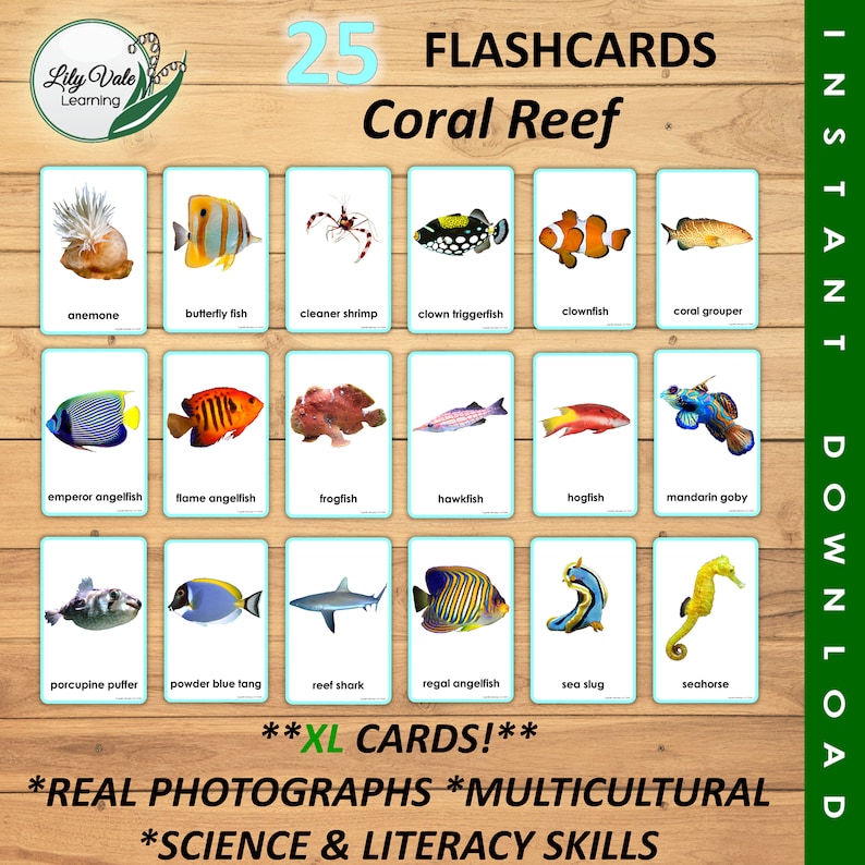 Flashcards, Printable Flashcards, Montessori Flashcard, Ocean Flashcard ...