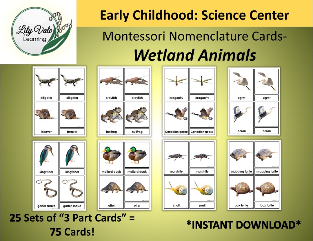 Printable Flashcards, Montessori Flashcards, POND ANIMALS, Nomenclature ...