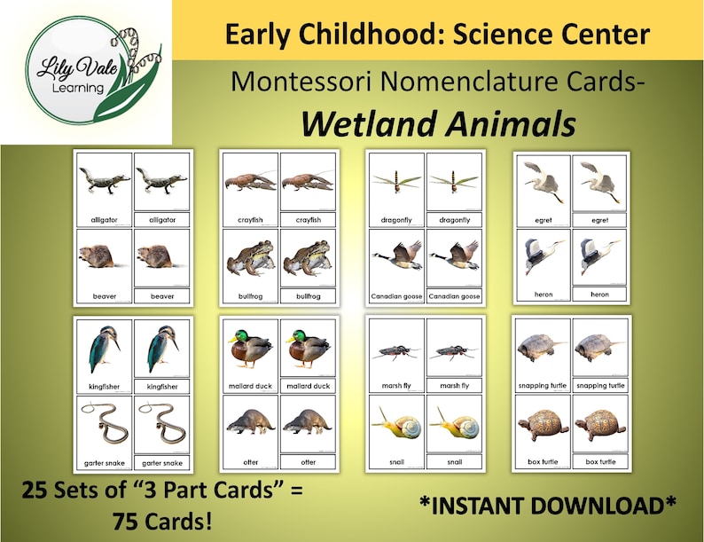 Printable Flashcards, Montessori Flashcards, POND ANIMALS, Nomenclature ...