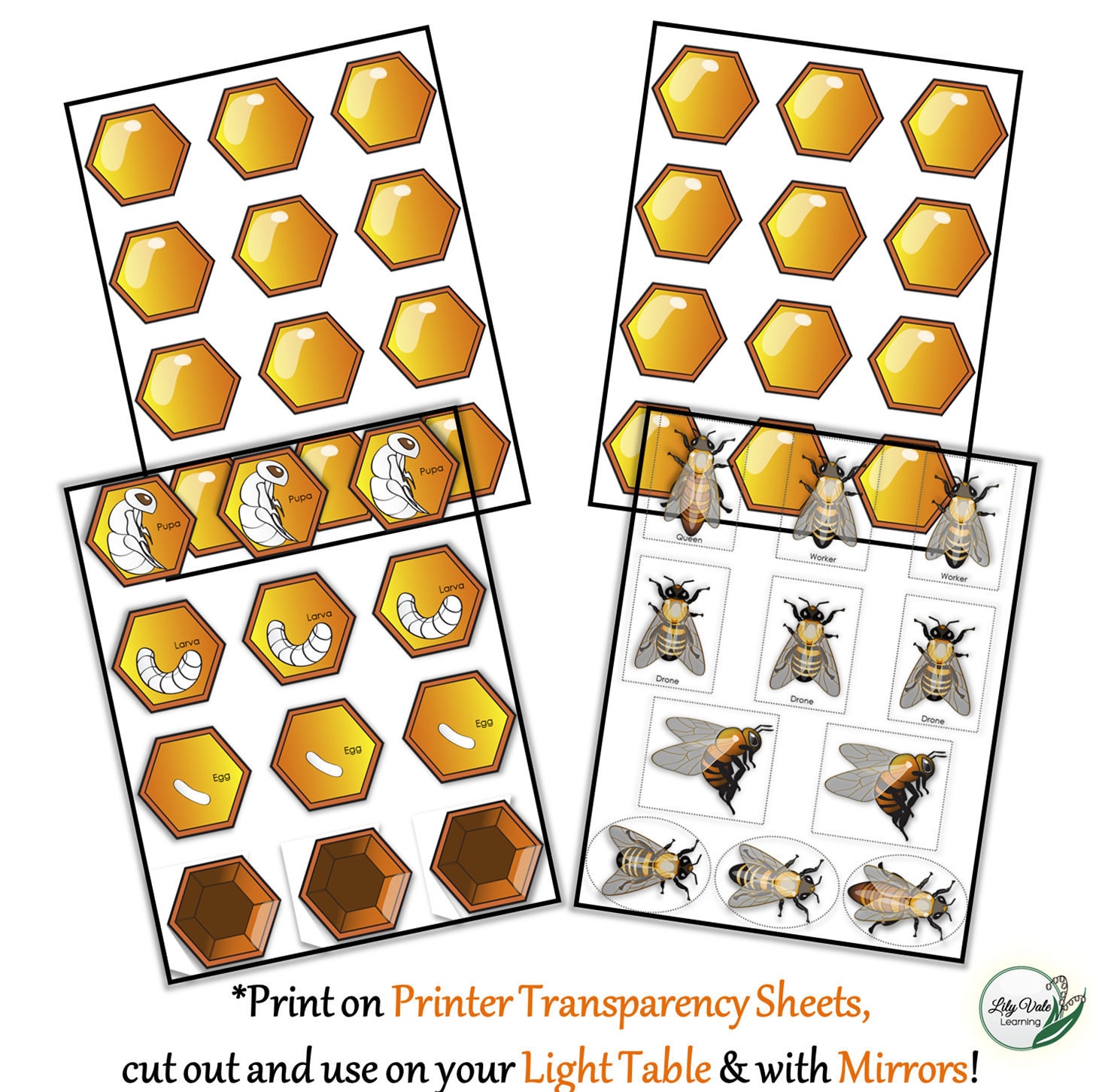 Transparency, Science of Light, Loose Part, Light Table Toy ...