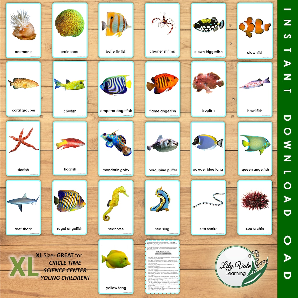Flashcards, Printable Flashcards, Montessori Flashcard, Ocean Flashcard ...