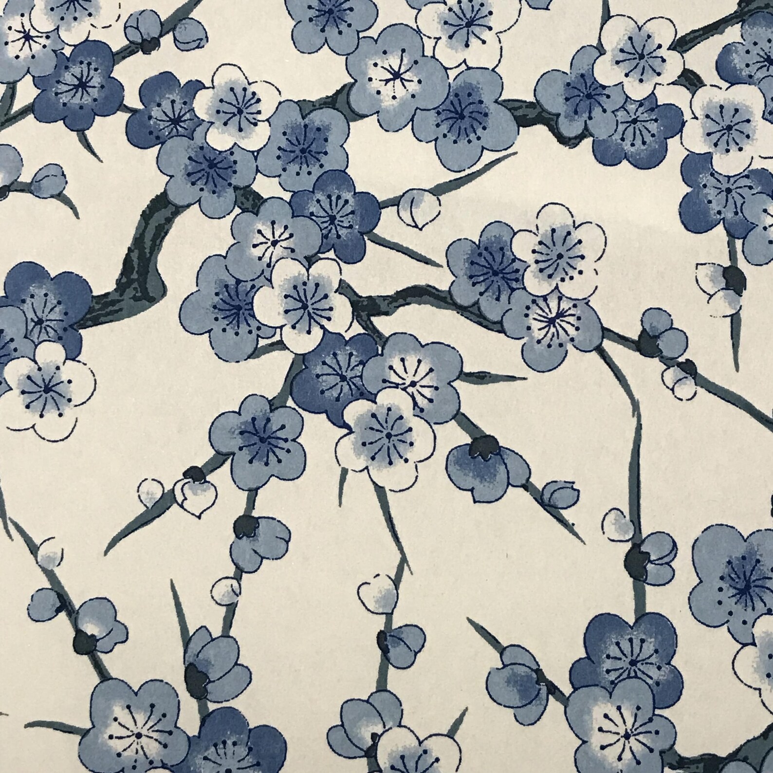 Japanese Yuzen Chiyogami Washi Paper (Y0161) – Blue Plum Blossoms on ...