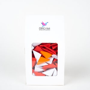 3D Origami Kit 2-in-1 Kit to Make a Swan or Butterfly Ready to Build ...