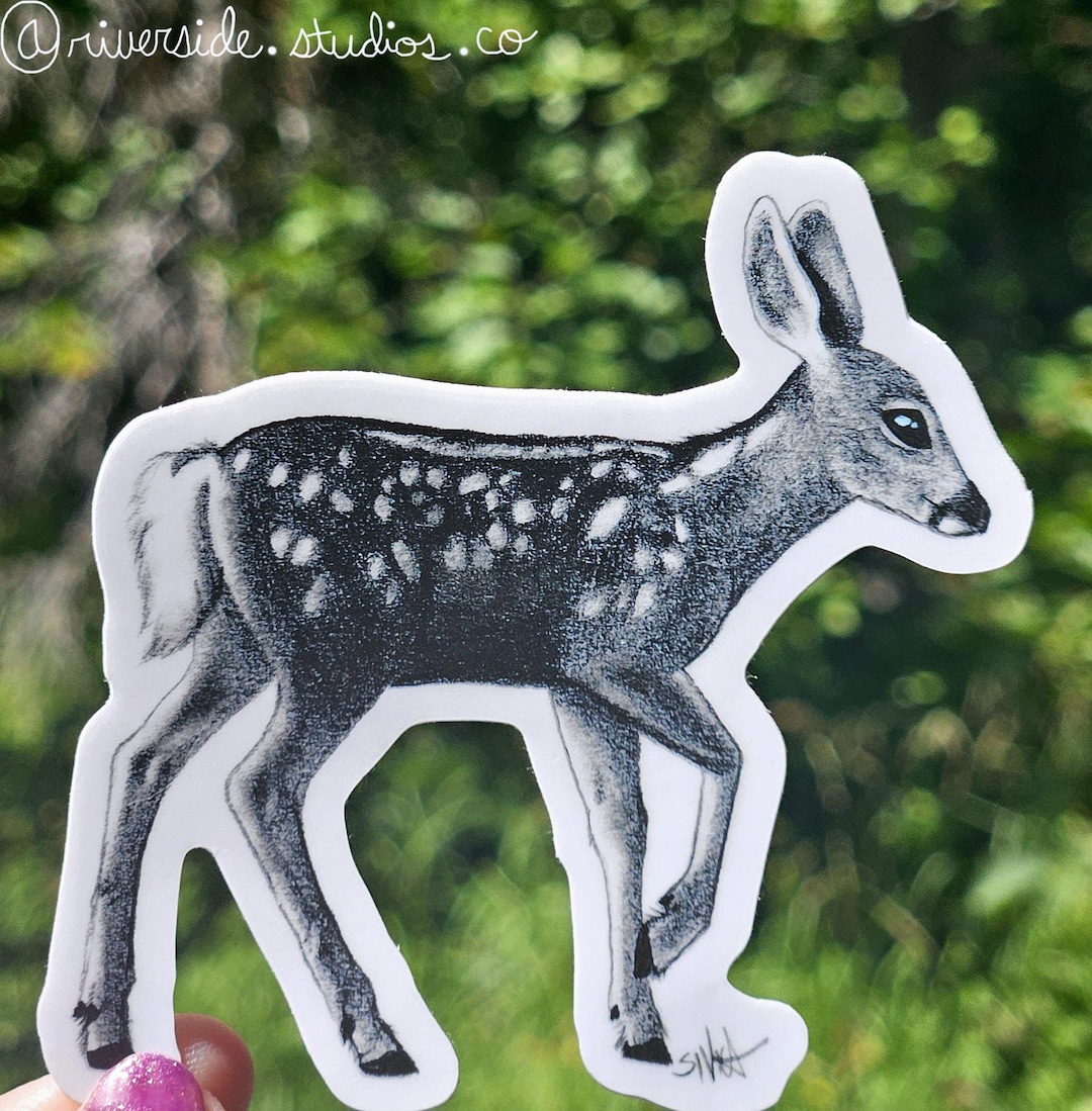 Mule Deer Fawn Vinyl Sticker 3" Original Colorado Wildlife Graphite Art ...